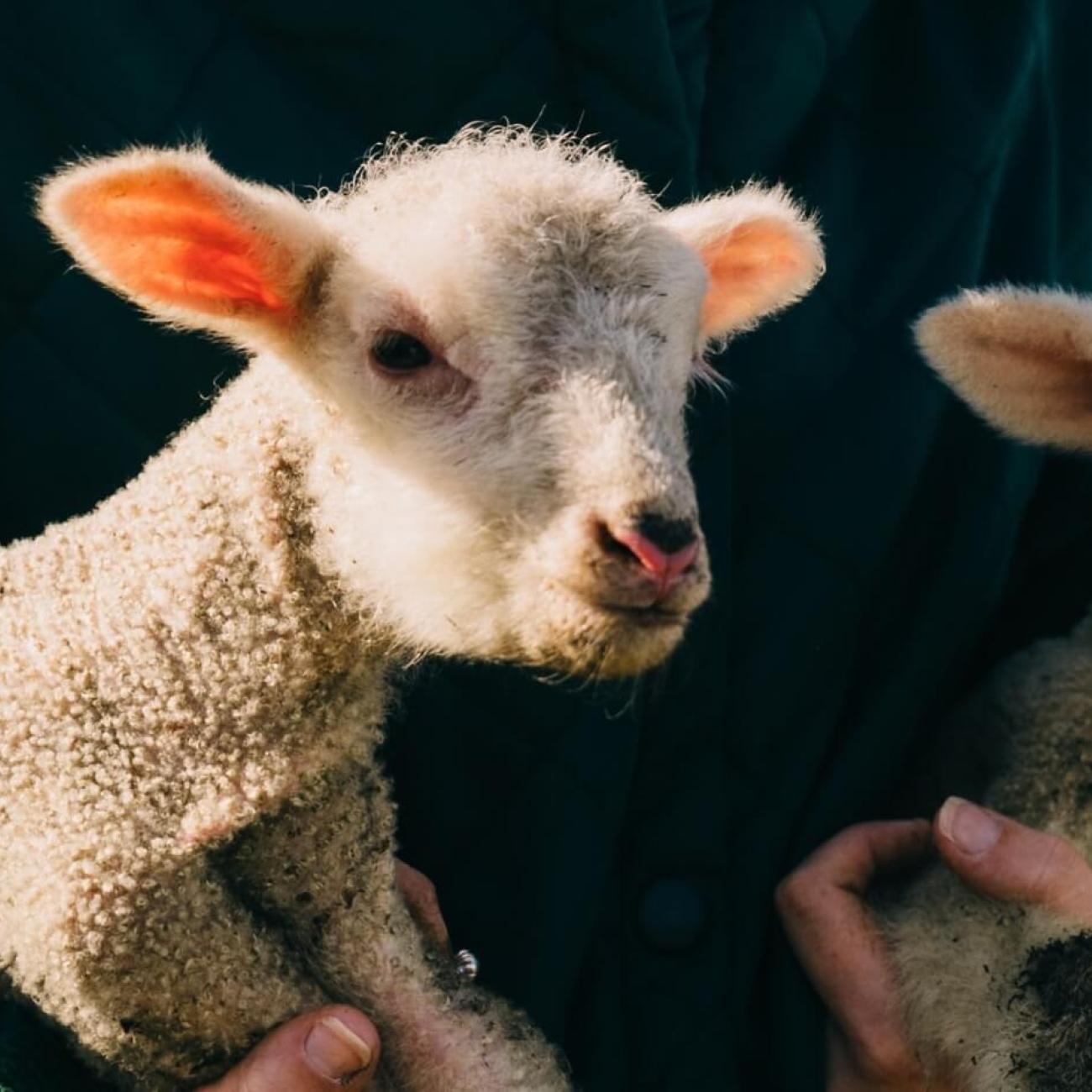 Le Marne | Le Marne Relais a Mura Mura